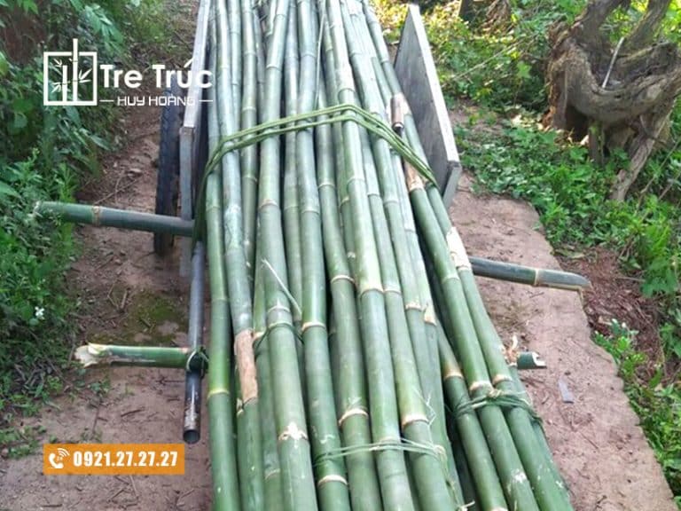 Bán Nan tre trang trí, Thanh tre, Nẹp tre giá rẻ tại TP.HCM